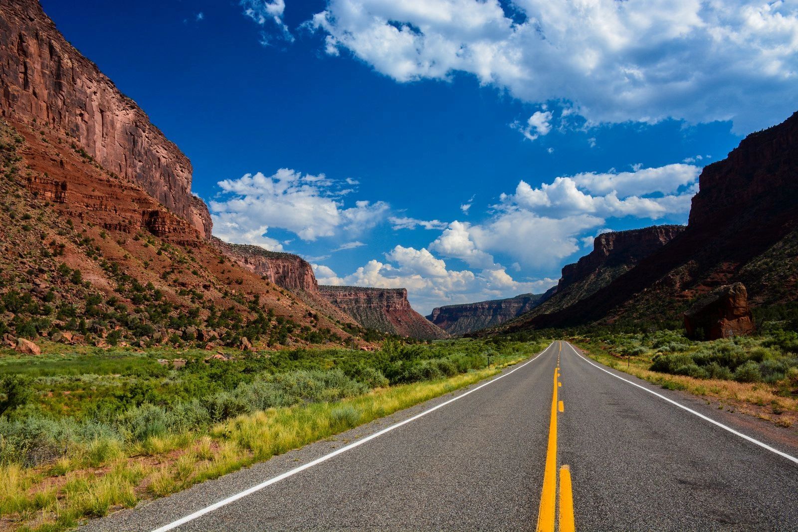 10 Road Rally Essentials